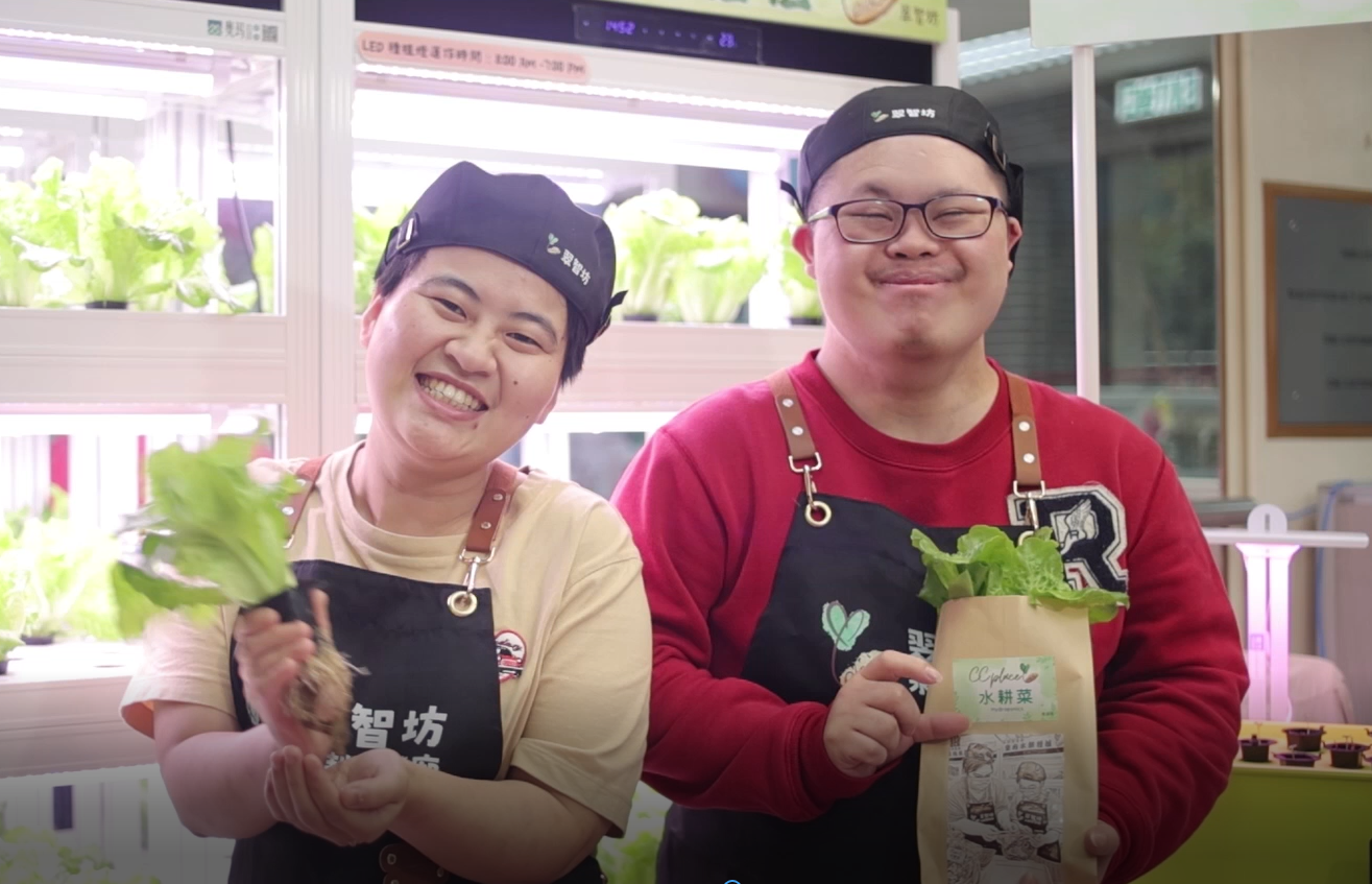 自訂工作坊 - hc: Eshop